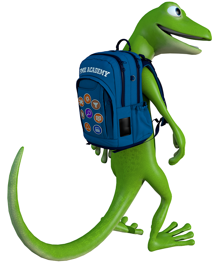 5 reasons to join the FME Academy - FME by Safe Software